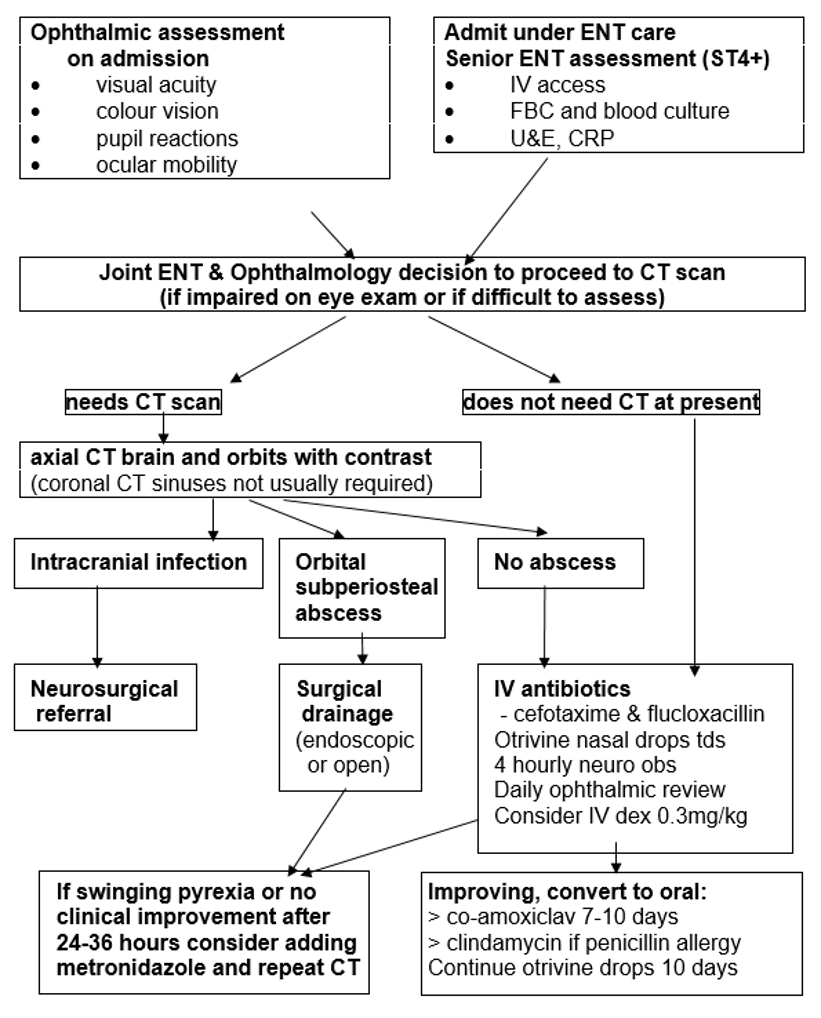 Orbital and periorbital cellulitis in children (225) | NHSGGC